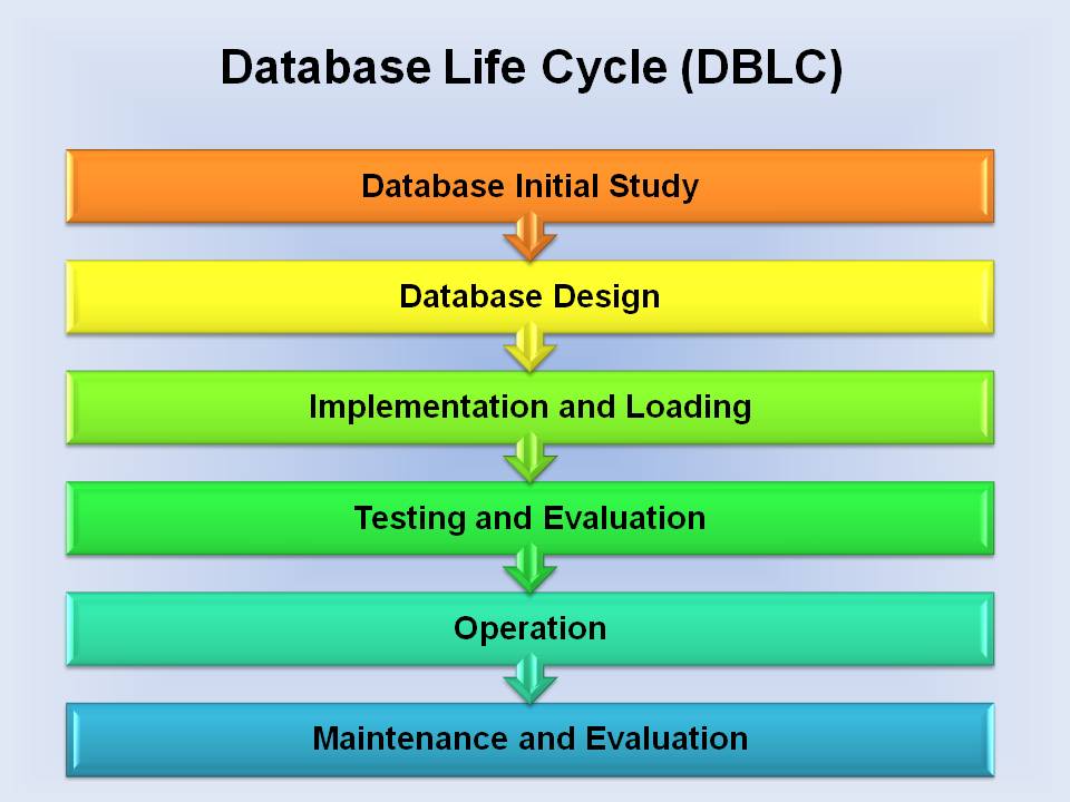 DBLC (Database Life Cycle) - BINUS @Bekasi - Kampus Beken Asyik | Business Service and Technology