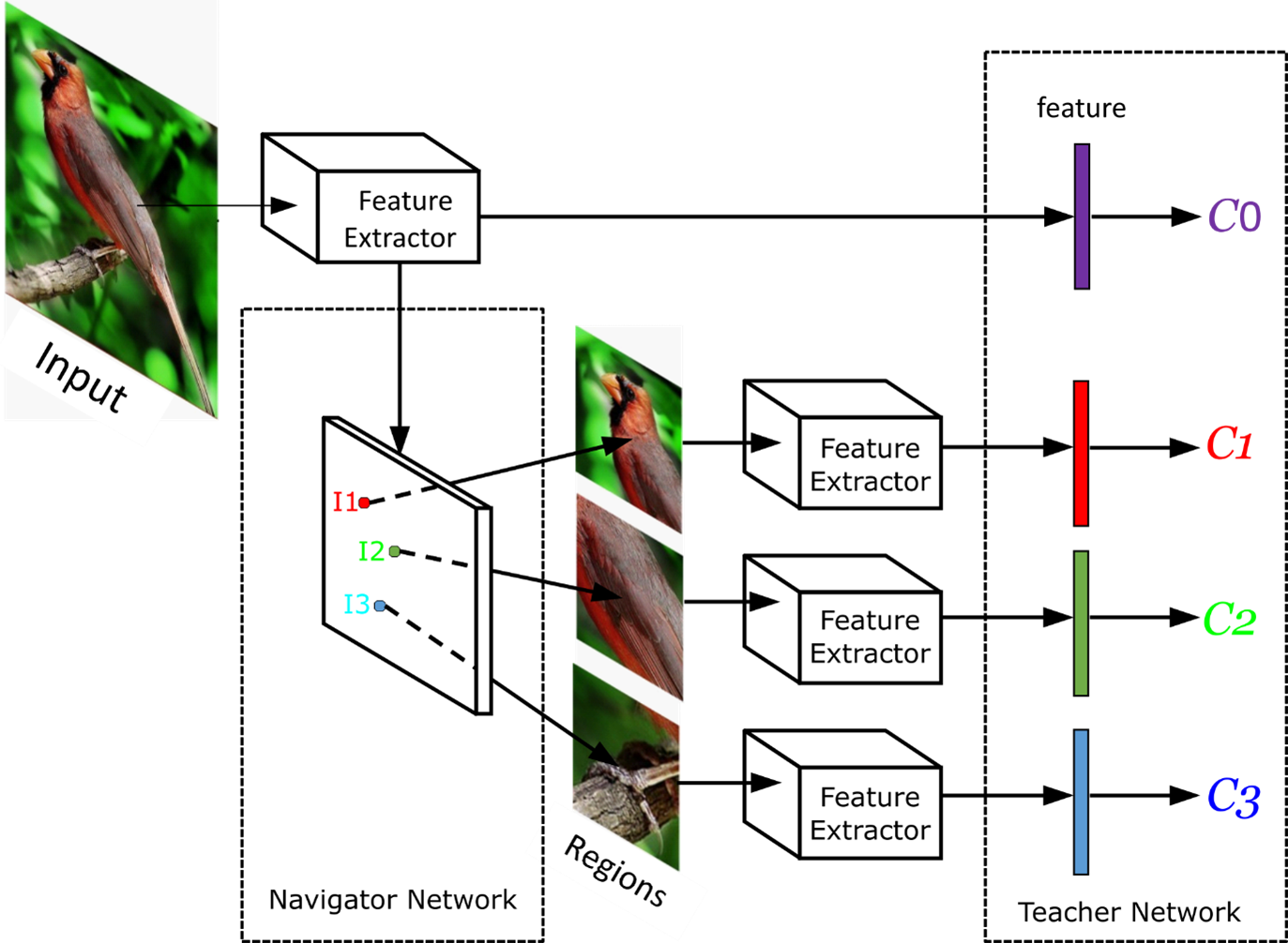 Fine-grained Image Classification Using NTS-Net | BINUS UNIVERSITY MALANG | Pilihan Universitas ...