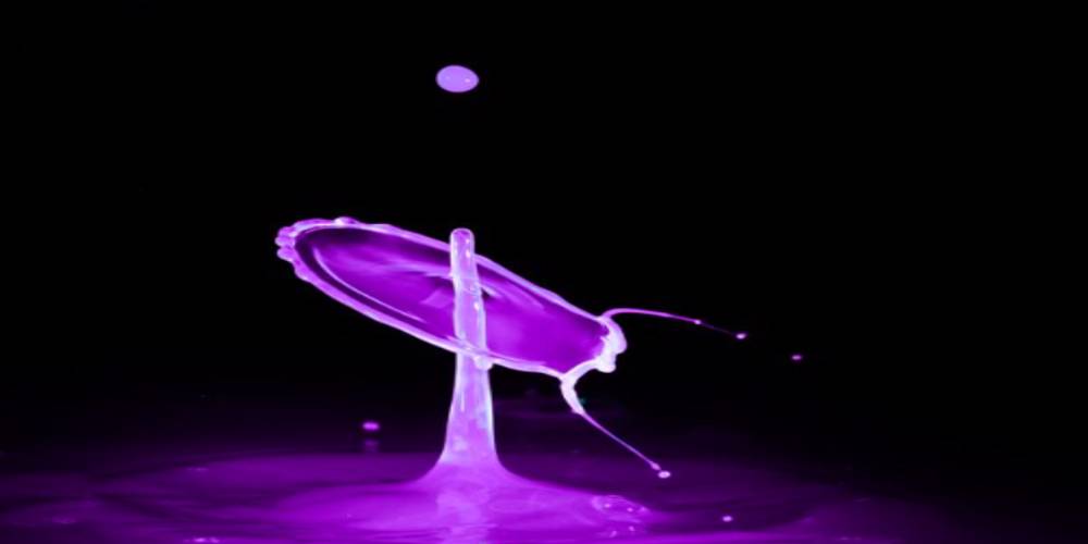 Cari Tau 3 Perbedaan Animasi dan Motion Graphic, Yuk!