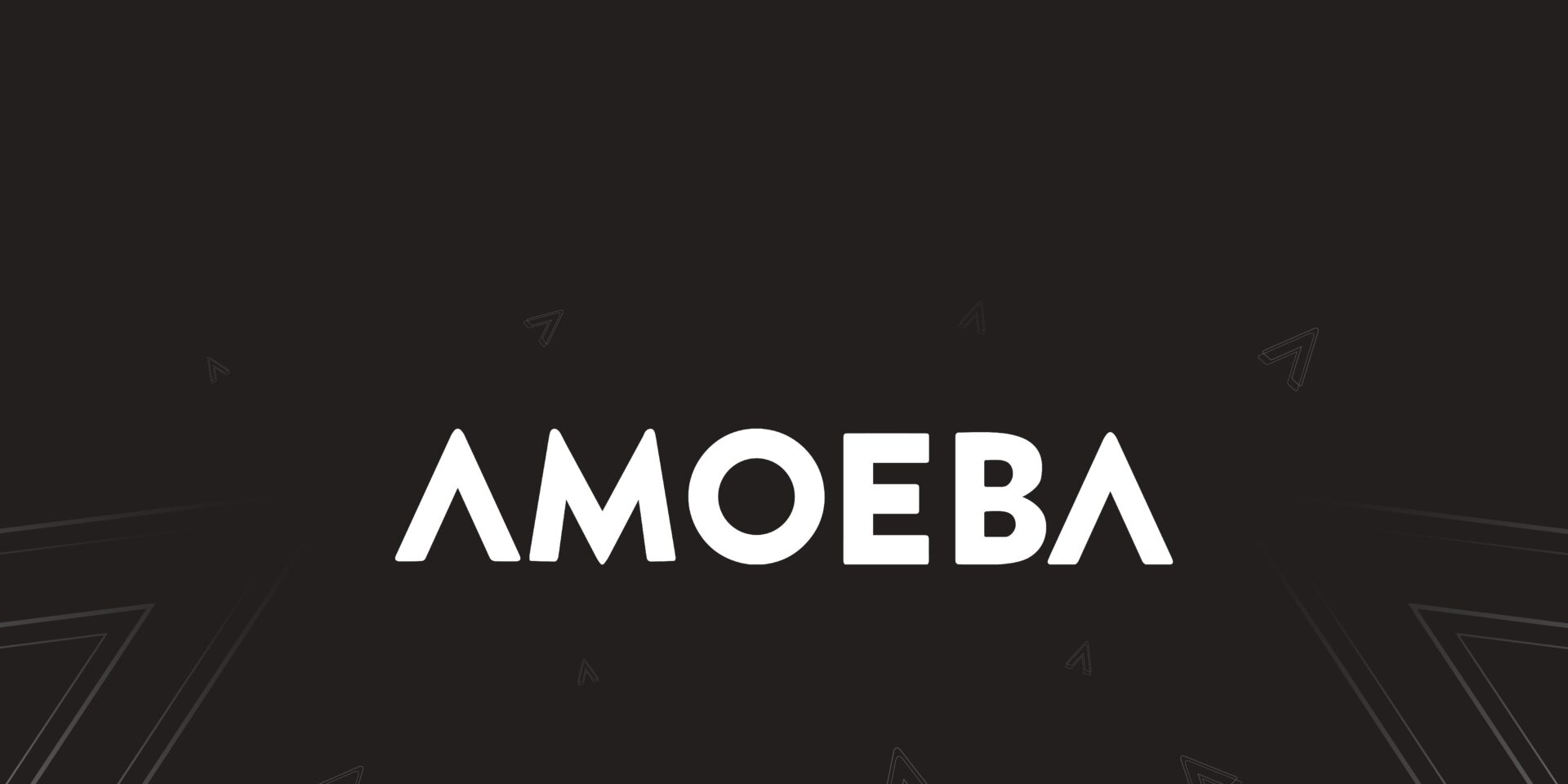 Amoeba – Information Systems